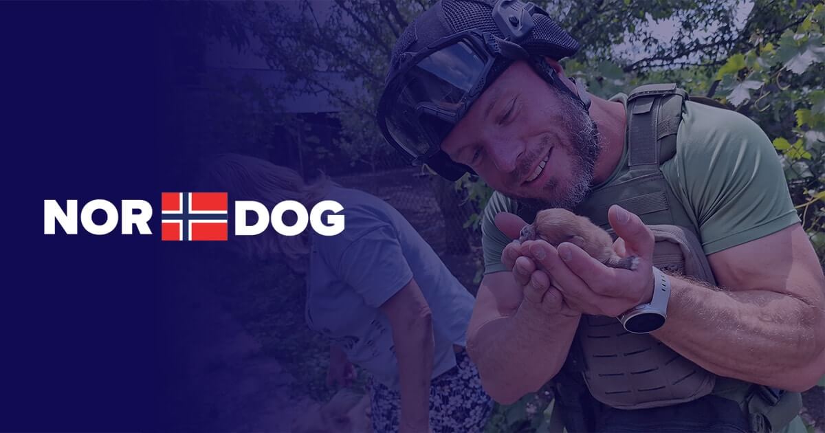 NOR DOG Animal Rescue – For the Animals that lost Everything